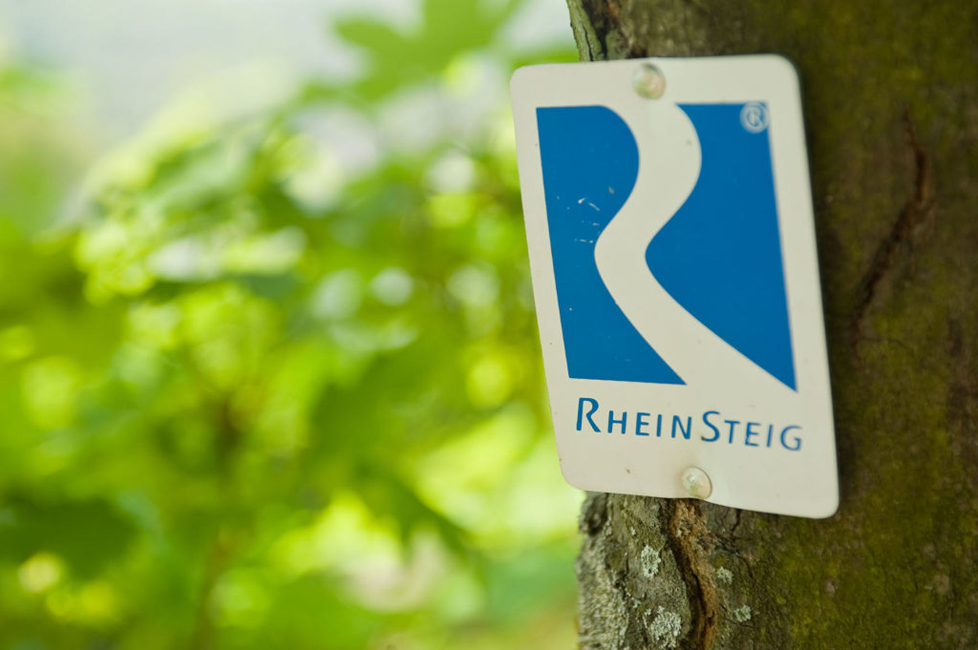 Markierung | Portrait - Rheinsteig